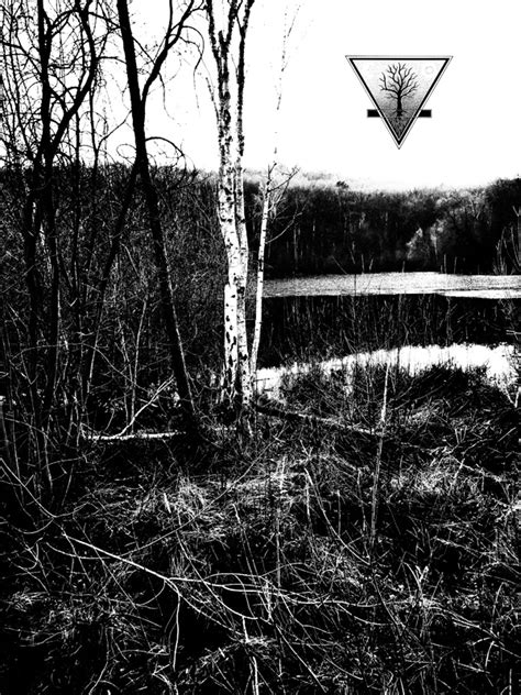 Black Metal Nature Pictures Of Nature In Black Metal Aesthetics