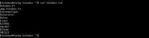 Comment Afficher Le Contenu Des Fichiers Sous Linux Avec Cat More Et Less Tutobox Fr