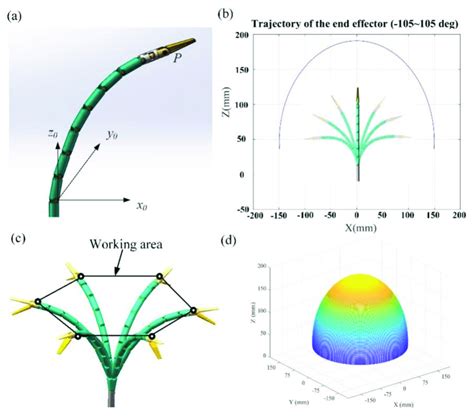 workspace of the flexible instrument a instrument coordinate system