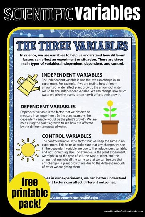 Types Of Variables In Science Understanding Independent And Dependent Variables