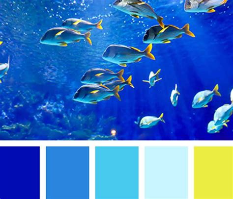 Summer Color Palettes 12 Inspiring Color Combinations Color Palette Yellow Blue Colour