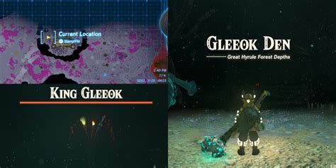 Zelda Tears Of The Kingdom All Gleeok And King Gleeok Locations