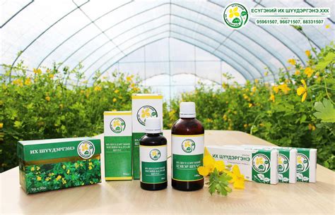 Их Шүүдэргэнэ Их шүүдэргэнэ бол дэлхийн эмийн ургамлын сан дотор