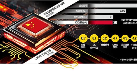 삼성·sk 반도체 베테랑 쓸어가는 中 Cxmt