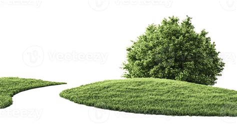 Green Grassy Hill With A Lush Bush On The Side 50476638 Png