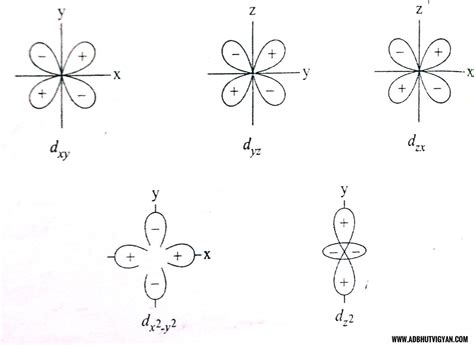 Draw The Shape Of 3d Orbitals Could Someone Please Describe The