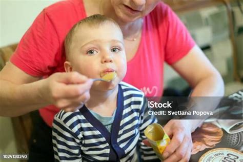 웃는 아이 1 5 세 여자의 무릎에 앉아서 숟가락으로 과일 퓌 레를 먹는다 아기에 대한 스톡 사진 및 기타 이미지 아기 할머니 가족 Istock