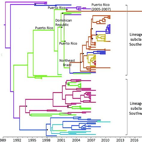 time scaled bayesian maximum clade credibility tree corresponding to