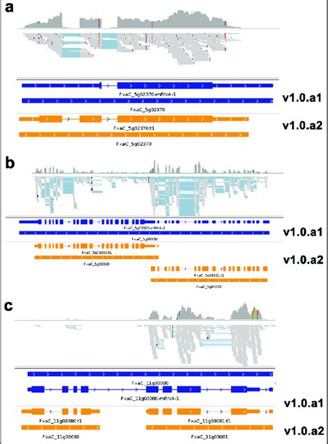 Examples Of Known Genes With Improved Annotation A Igv View Of The