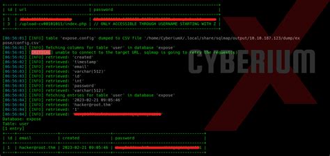 TryHackMe Expose Writeup