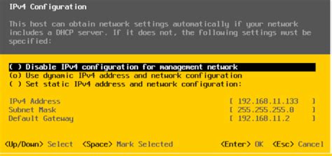 setting the ip in vmware esxi documentation and faq
