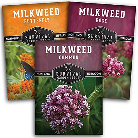 Milkweed Seed Collection 3 Varieties Survivalgardenseeds