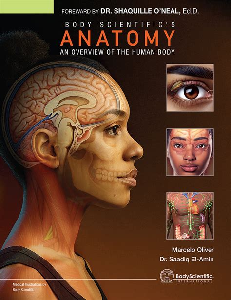 Body Scientifics Anatomy An Overview Of The Human Body