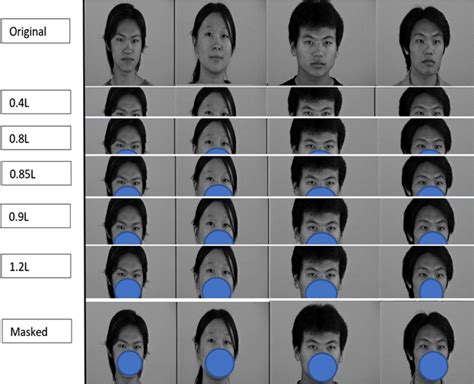 cropped facial images at different cropping proportions download