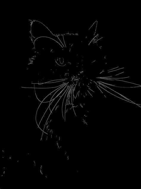 Camera App With Flask And Opencv Towards Data Science