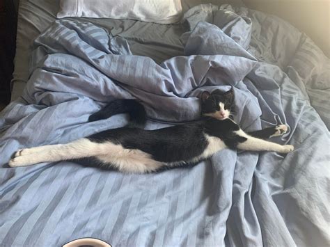 I Think My Computer May Be Overheating Rspongebob