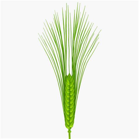 Wheat 3d Models Download Free3d