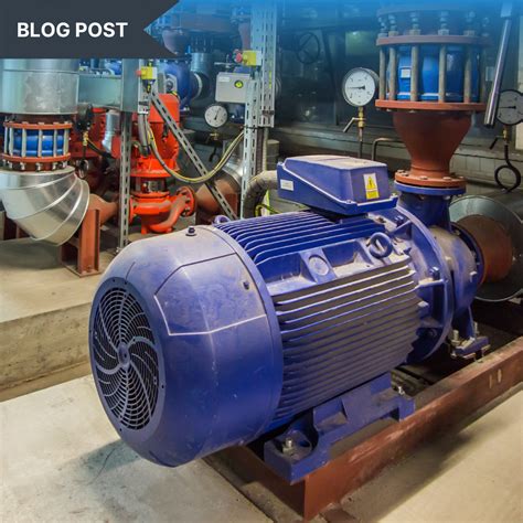 What Does Bep Mean To You