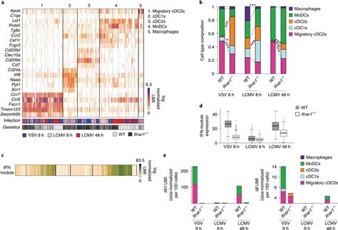 Scrna Seq Analysis Of Ln Dcs Upon Viral Infection A Gene Expression Download Scientific