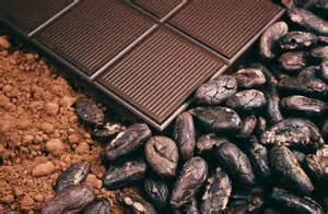 Cocoa Fermentation Secrets Microbes For Fine Chocolate