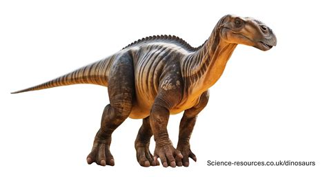 Science Uk Dinosaur Facts The Early Cretaceous Period