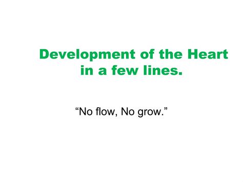 Embryology Of Heart Ppt