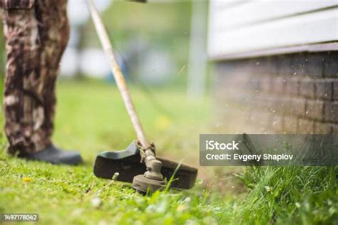 뒤뜰에서 전기 또는 가솔린 잔디 트리머로 키가 큰 풀을 깎는 남자 원예 관리 도구 및 장비 손 깎는 기계로 잔디 트리밍 과정 0명에 대한 스톡 사진 및 기타 이미지 Istock