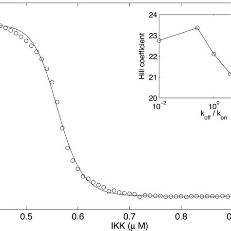 Equilibrium Binding Of Nf B To A Downstream Gene The Plot Shows The