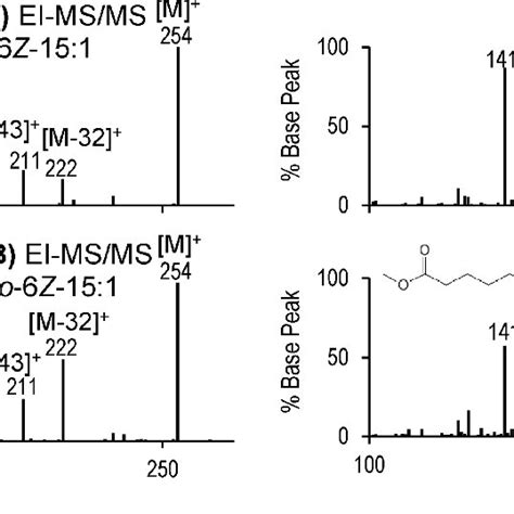 Ei Ms Ms Spectra Of Isomeric 6z 15 1 And Isomeric 6z 16 1 Fame A Download Scientific Diagram