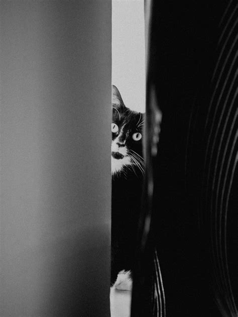 Cutegirlstelegraph Photos Download The Best Free Cutegirls