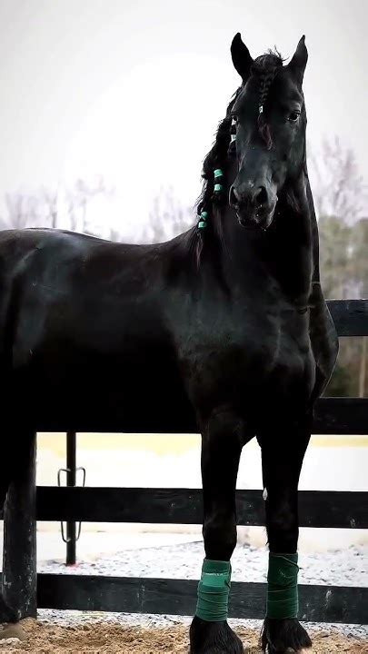 25 Aprel 2023 Youtube