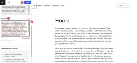 How To Translate Wordpress Websites In 2025 Beginners Guide