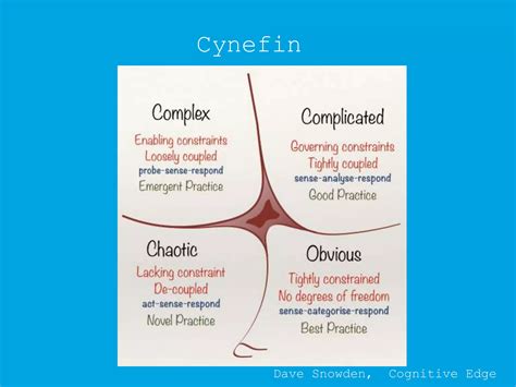 Coping With Complexity Ppt