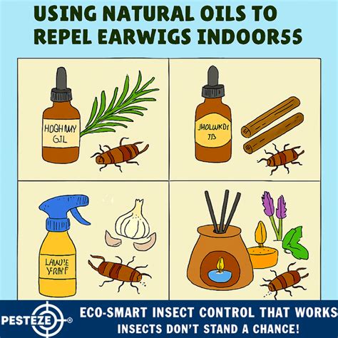 Using Natural Oils To Repel Earwigs Indoors Pesteze