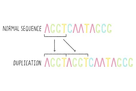 Mutations Drivers Of Evolution Disease Doug Koshland