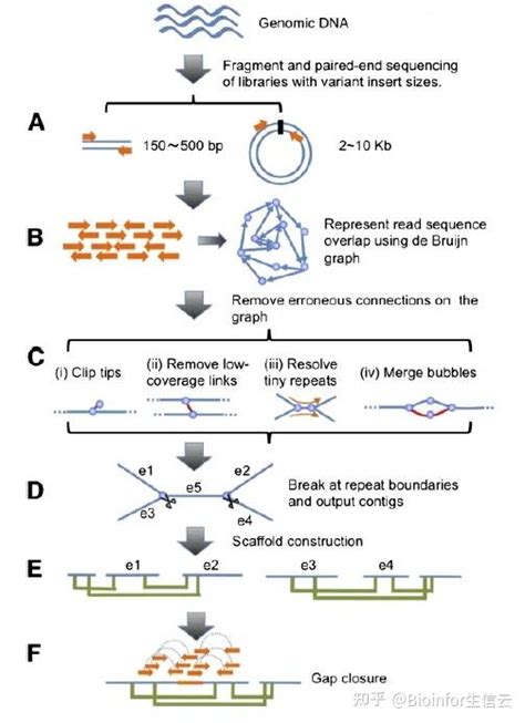 宏基因组测序分析（八）宏基因组数据组装 知乎