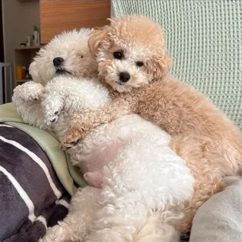 Bamm Kong • Threads Say More