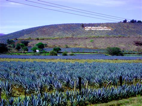 Turismo Rural En México Una Aventura Más En Tus Vacaciones Lamudi