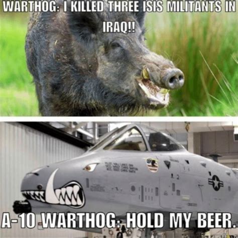 Warthog Memes Fun