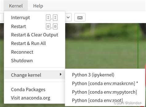 ubuntu18 04下pytorch版maskrcnn编译错误汇总 the detected cuda version 11 2