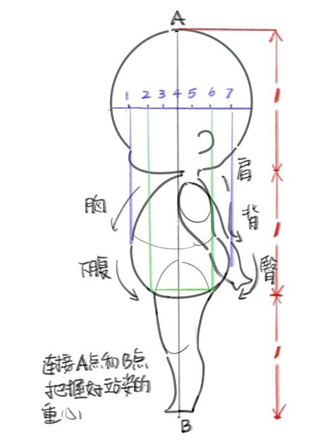三头身Q版比例图解正侧斜侧 1三头身Q版正面头部躯干胯部到脚的比例是1 1 1很好记忆将头部横向八等分并在1和