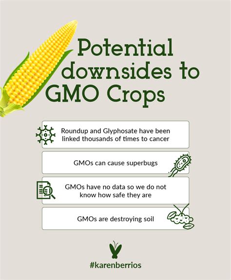 The Truth About Gmos Healthy Living Tips Karen Berrios