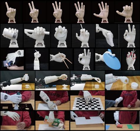 Ustc Unveils Innovative 19 Dof Biomimetic Prosthetic Hand With Enhanced