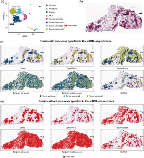 Accurate And Flexible Single Cell To Spatial Transcriptome Mapping With