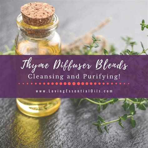 Thyme Diffuser Blends Cleansing Essential Oil Recipes