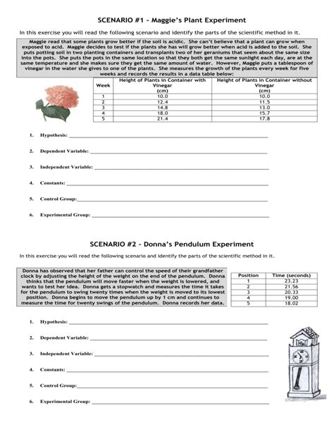 Scientific Method Scenarios Worksheet