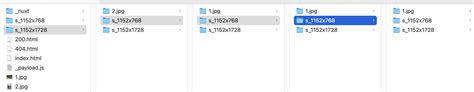 Nuxt3 Static Image Prerendering Endless Loop · Issue 662 · Nuxt