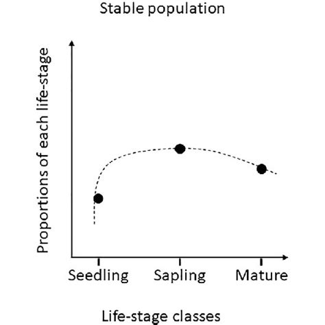 Main Types Of Population Structures According The Proportions Of