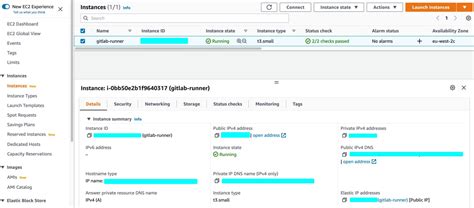 Install GitLab Runner On EC With Shell And Docker Executors