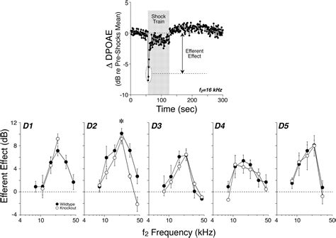 Dopaminergic Signaling In The Cochlea Receptor Expression Patterns And